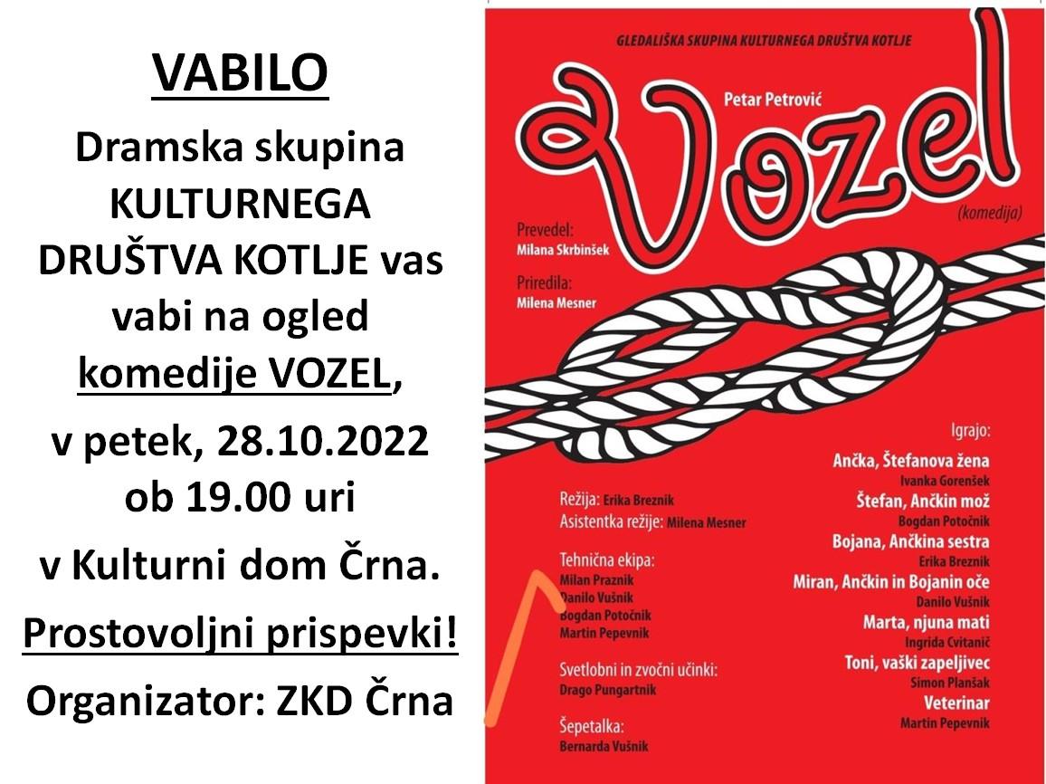 VABILO NA OGLED KOMEDIJE "VOZEL" V IZVEDBI GLEDALIŠKE SKUPINE ...